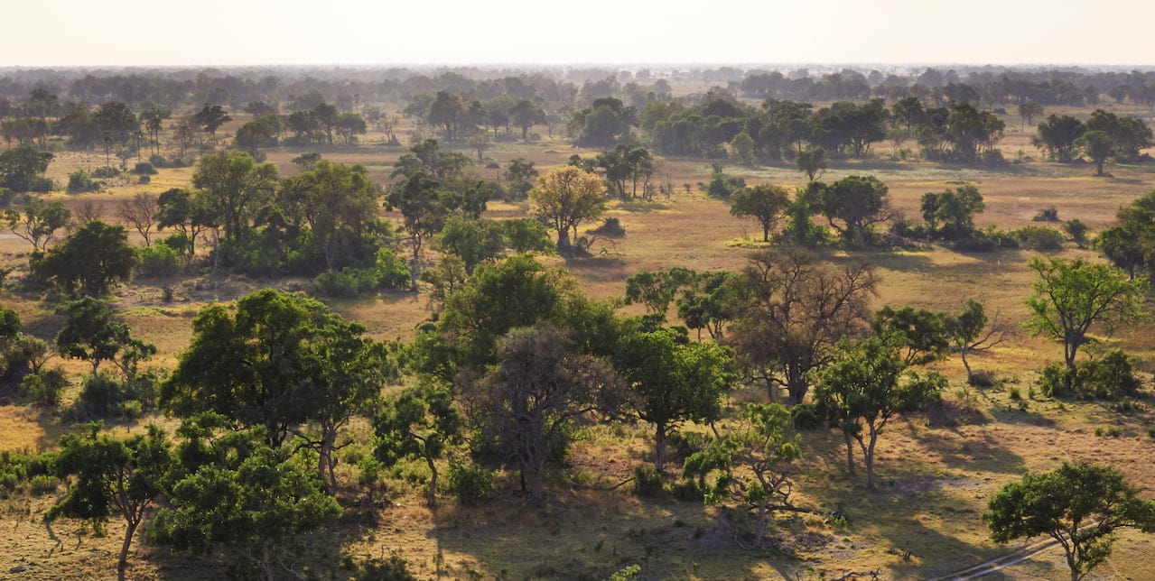 Belmond Safaris | Botswana Luxury Safaris