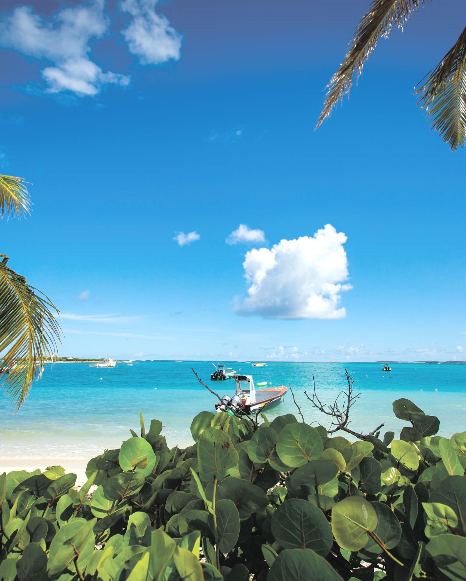 Cap Juluca, A Belmond Hotel | Luxury Anguilla Resort