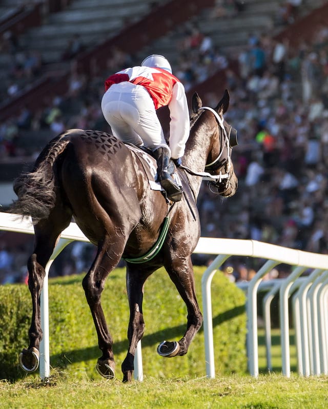 British Pullman, A Belmond Train | Day Trips and Weekend Excursions