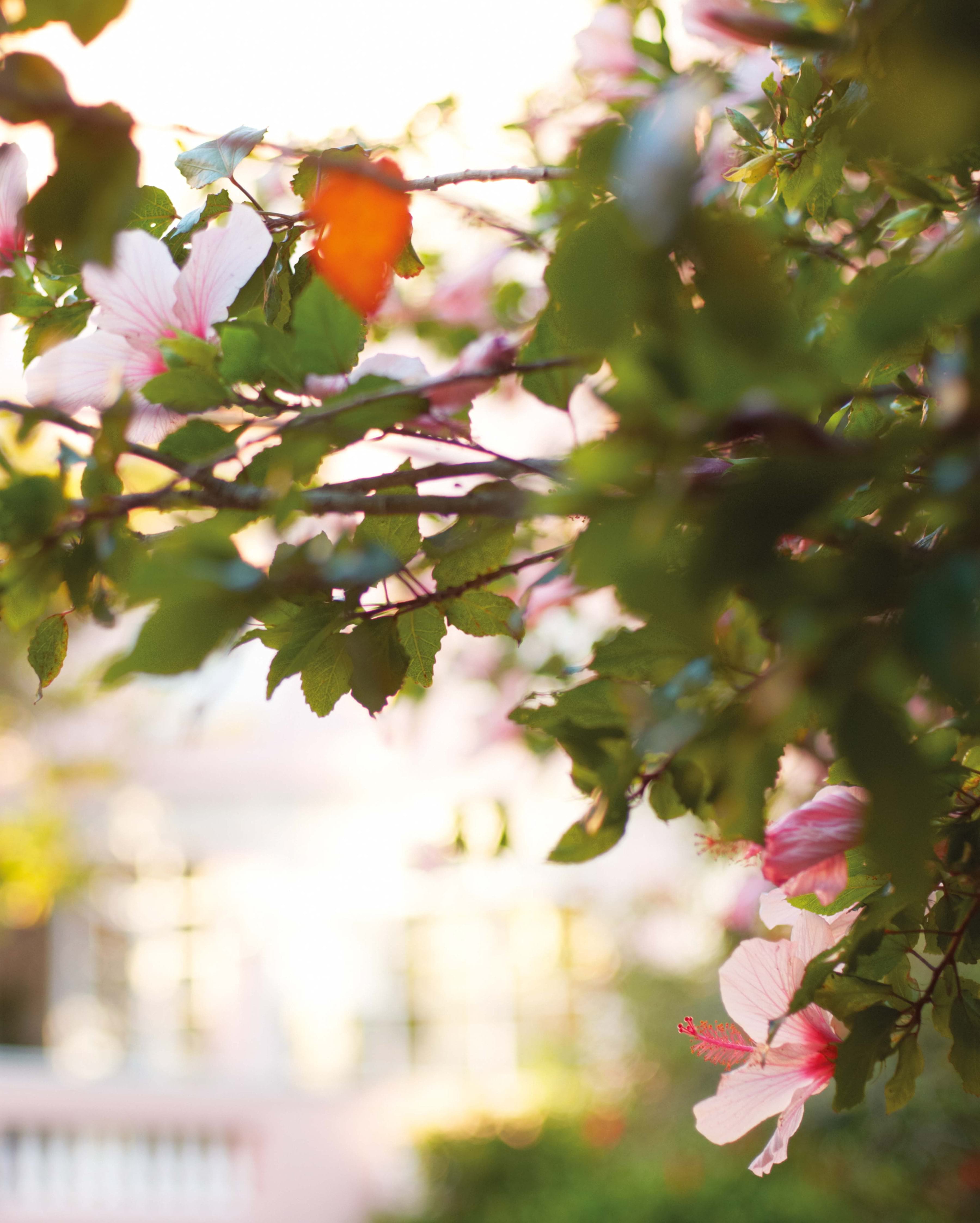 Luxury Spa, Cape Town | Librisa Spa at Belmond Mount Nelson Hotel