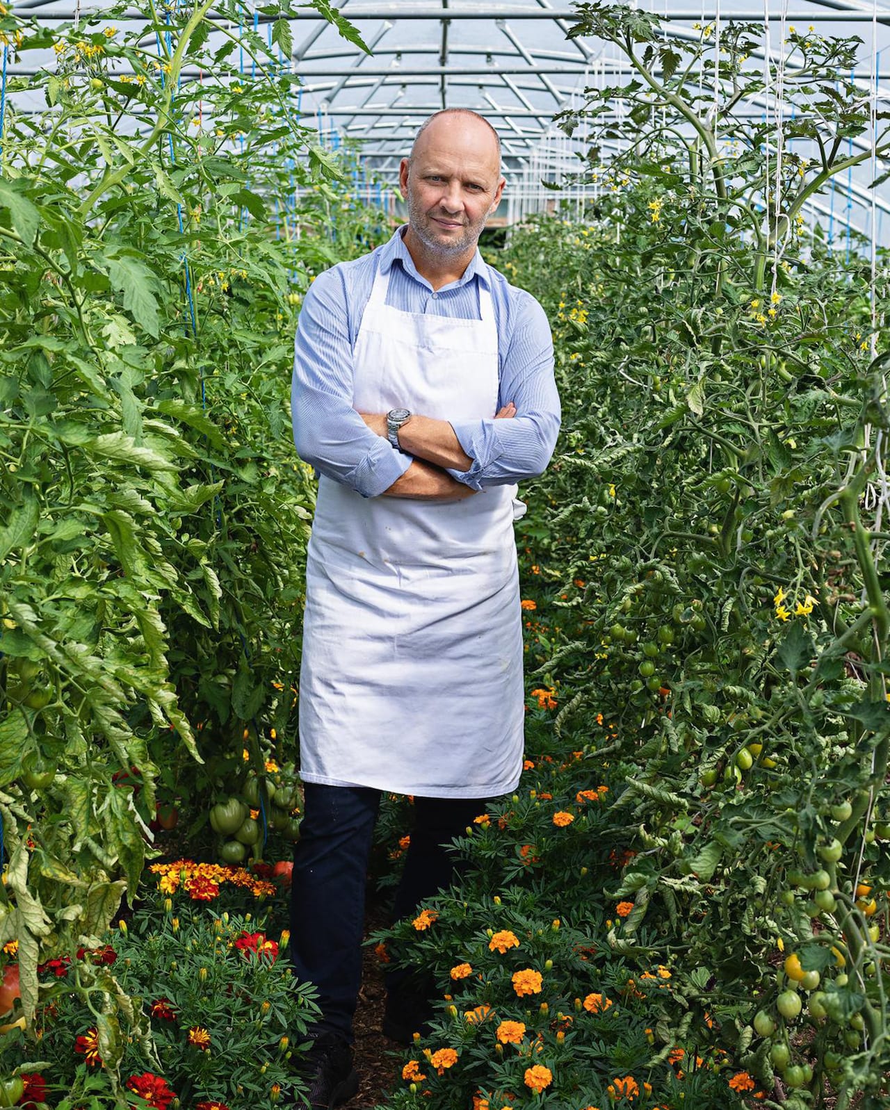 British Pullman, A Belmond Train | Day Trips and Weekend Excursions