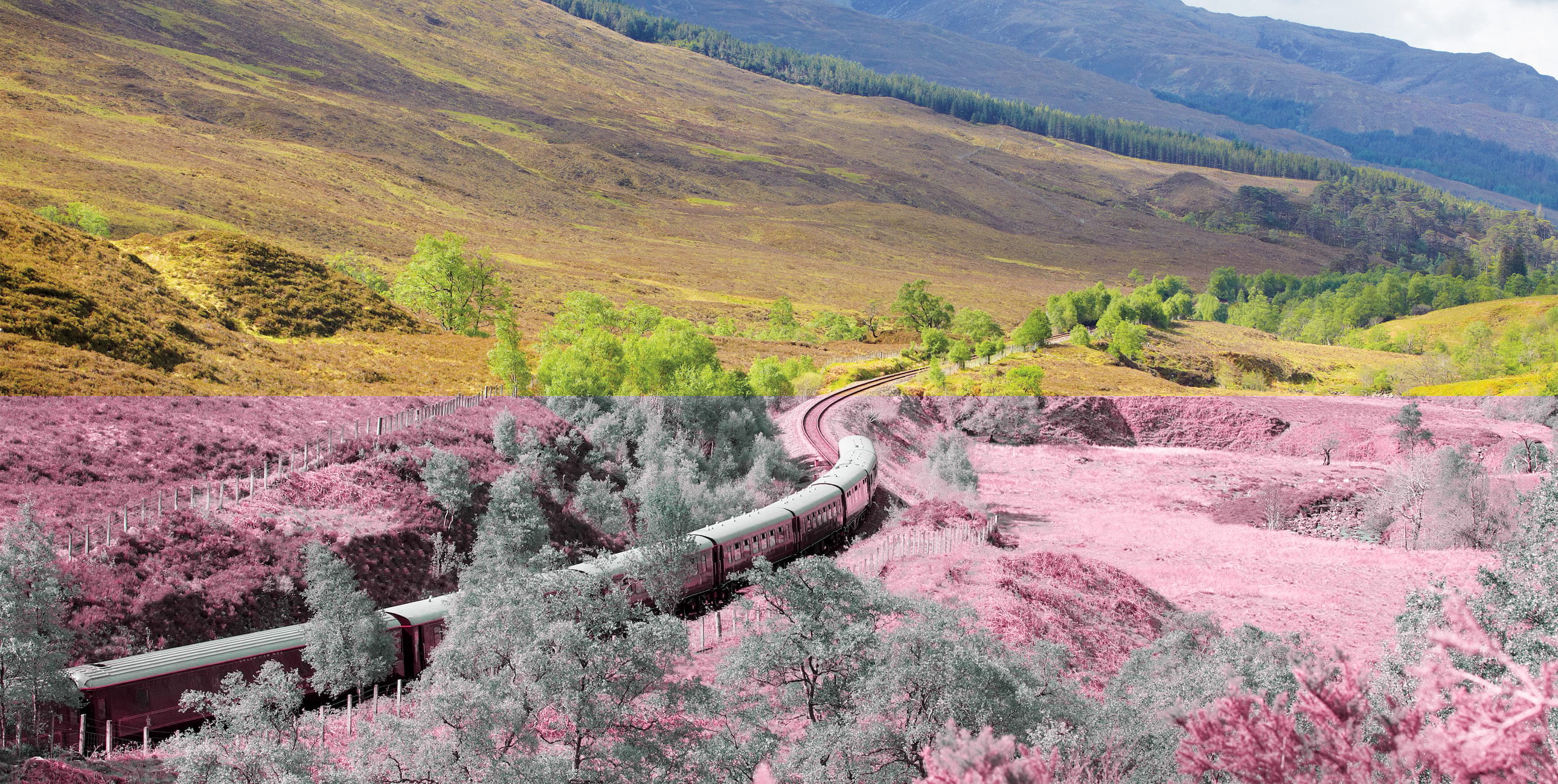 Belmond Trains | Luxury Train Journeys